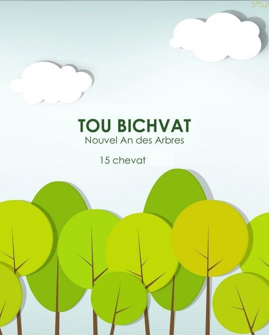 Tou Bichvat: nouvel an des arbres - Service national pour les relations ...